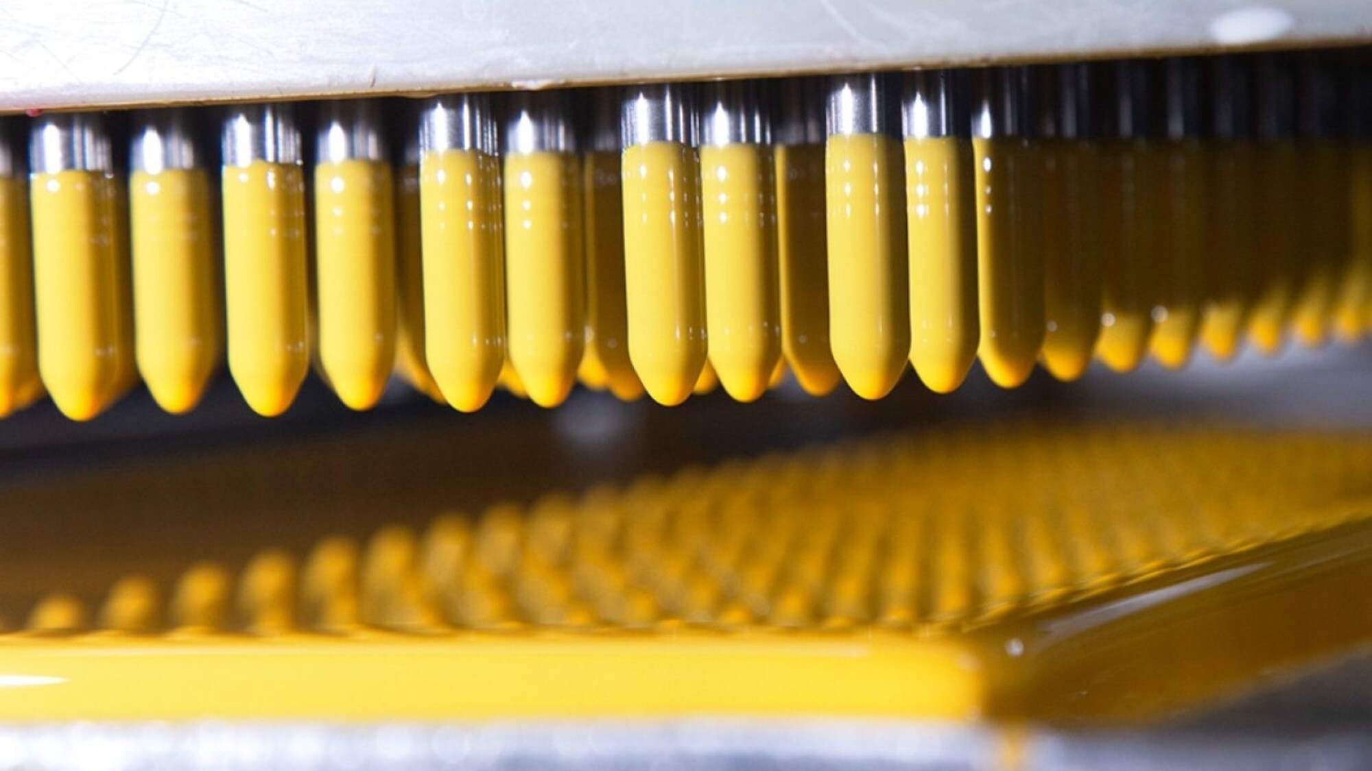 Hard Gelatin VS Soft Gelatin: Which Is Better? - Anxine