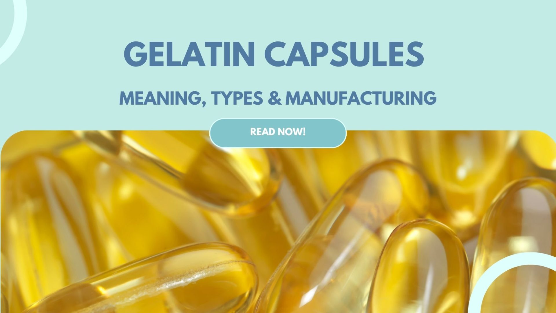 Gelatin Capsules Explained: Types, Making & Filling Machines - Anxine
