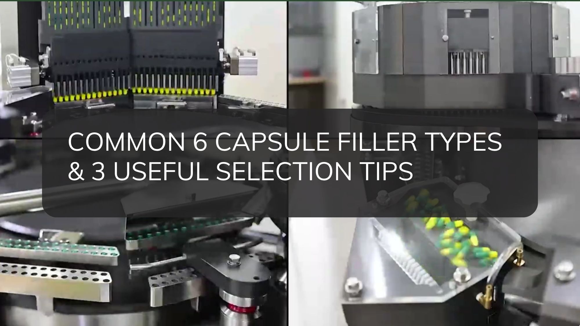Capsule Fillers: Popular Types & Key Considerations - Anxine
